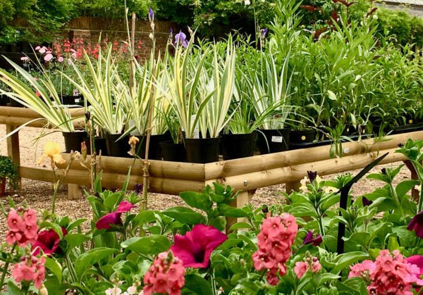 Your Visit - DENMANS GARDEN