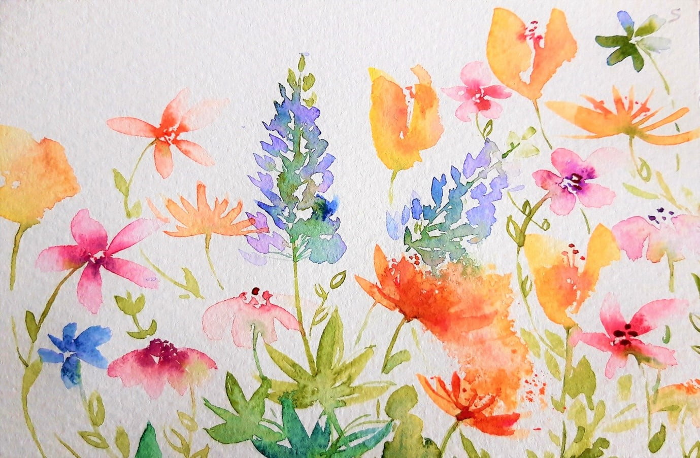 Events Archive - DENMANS GARDEN