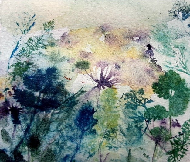 Events Archive - DENMANS GARDEN