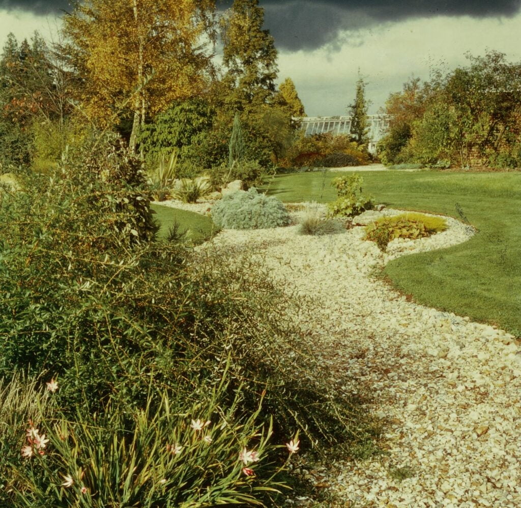 Jonathan Arnold: First impressions - DENMANS GARDEN