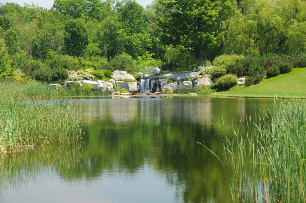 Anthony Archer Wills - “the poet laureate of naturalistic water gardens ...
