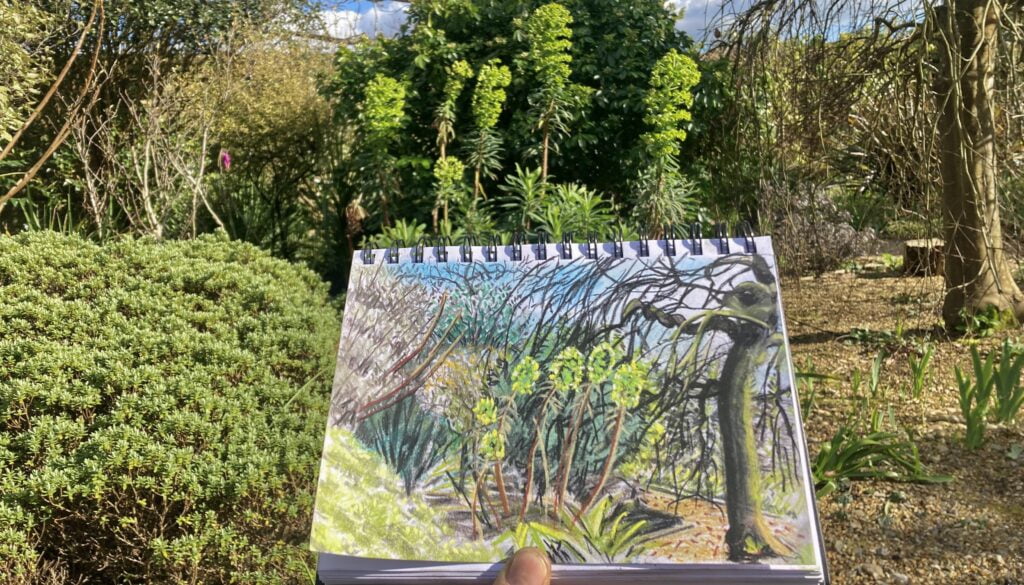 Oscar Romp, Denmans Artist-in-Residence 2024: Winter into Spring ...