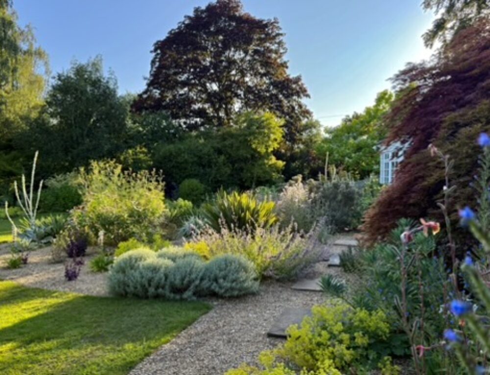 Anthony Archer Wills - “the poet laureate of naturalistic water gardens ...