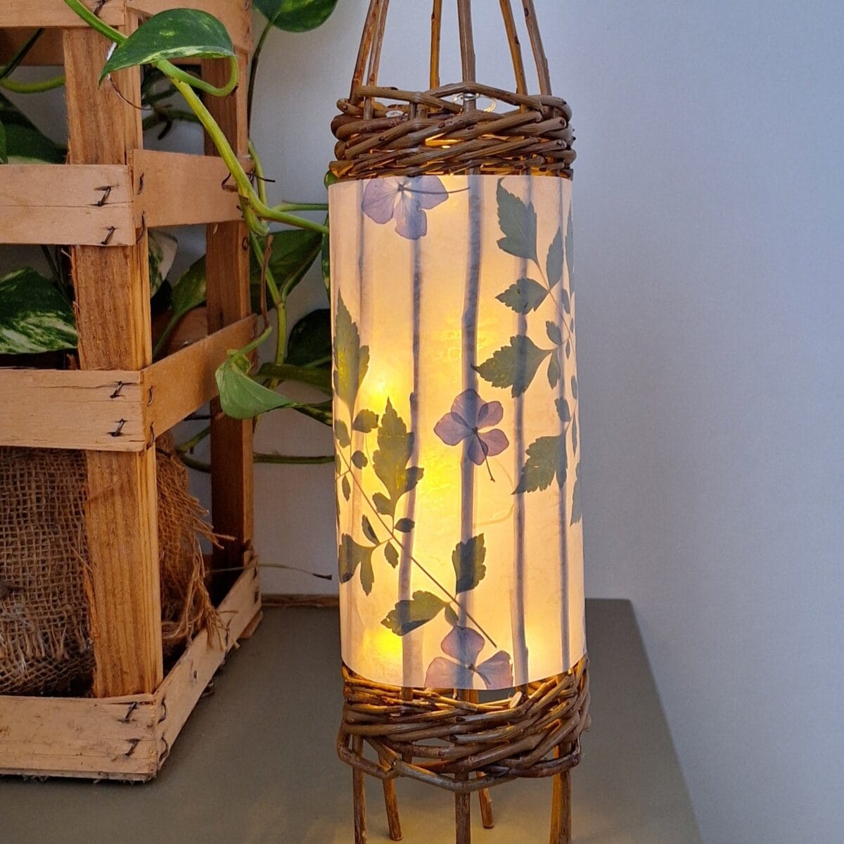 Nature Makers Willow Workshop - Lantern - DENMANS GARDEN